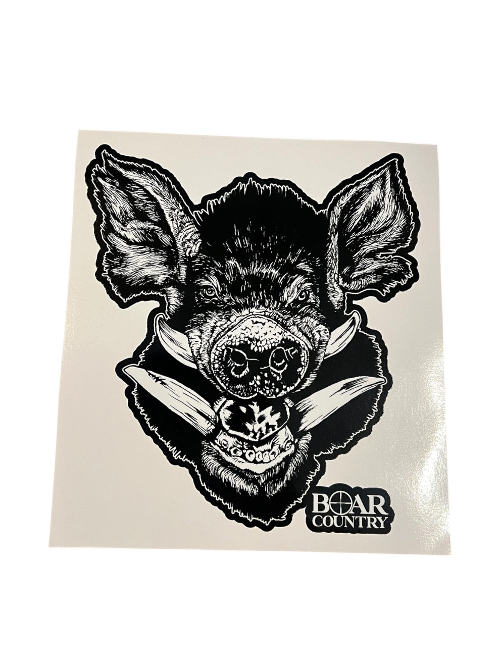 Large Sticker- BOAR COUNTRY PIG – Roar Country